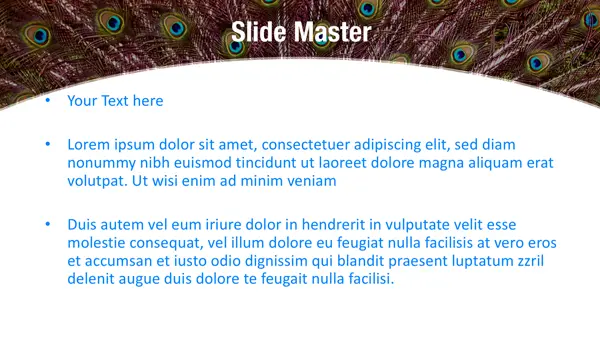 Peacock Powerpoint Templates Peacock Powerpoint Backgrounds Templates For Powerpoint