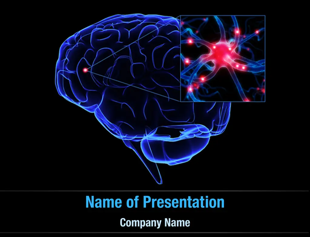 Brain Anatomy PowerPoint Template Backgrounds