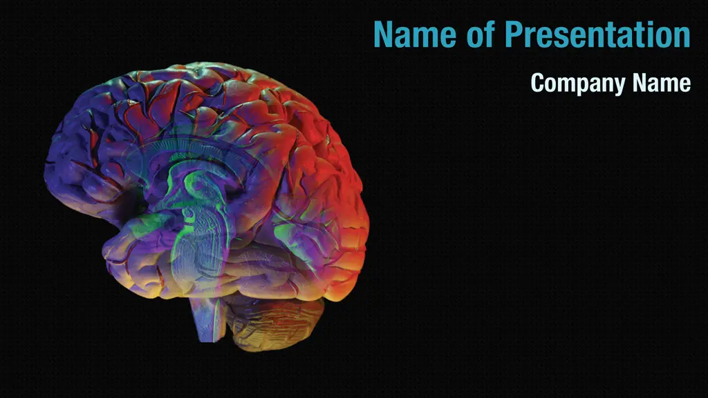 Brain Anatomy PowerPoint Template Backgrounds